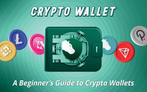 Beginner’s Guide To Crypto Wallets | Learn Hippo Wallet