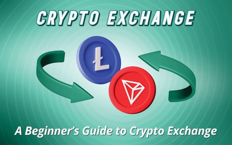 Beginner’s Guide To Crypto Exchange | Learn Hippo Wallet